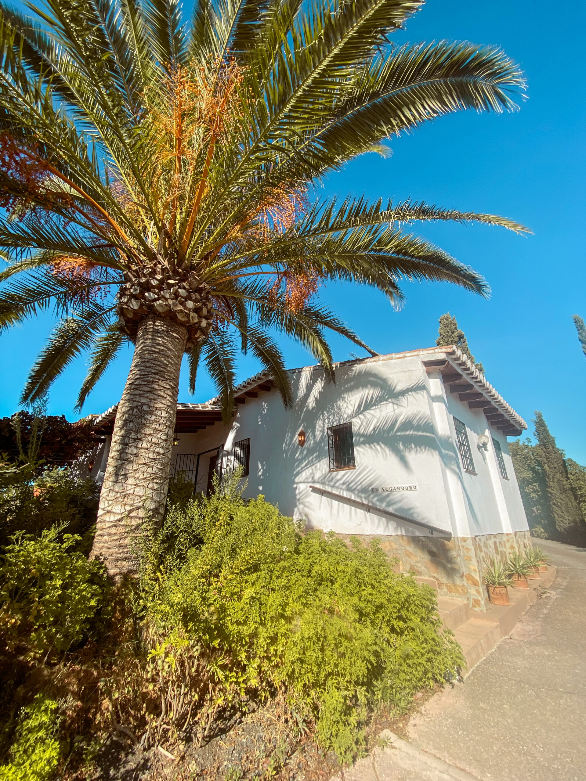 What to Expect When Staying on a Finca in Spain - Wander with Sasha